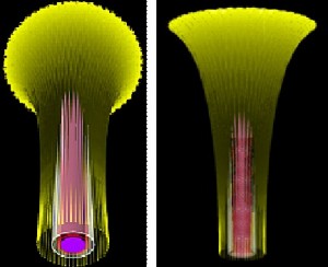 Peratt Instabilities, Plasma Columns, Z-Pinch. The Axis Mundi. - Eix ...