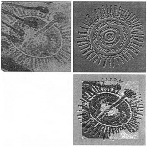 Peratt Instabilities, Plasma Columns, Z-Pinch. The Axis Mundi. - Eix ...