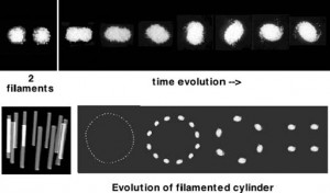 Peratt Instabilities, Plasma Columns, Z-Pinch. The Axis Mundi. - Eix ...